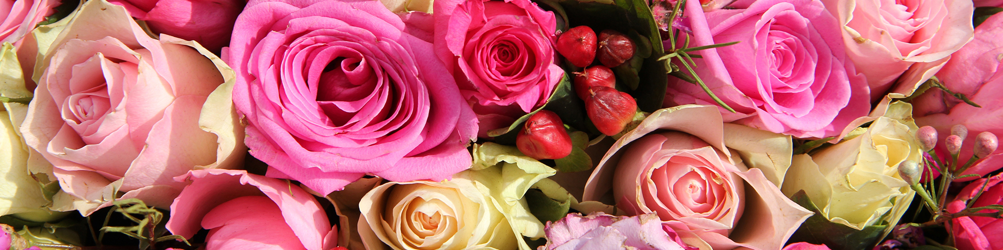 Charlie's Florist Hawick - Order Online or 01450 367351