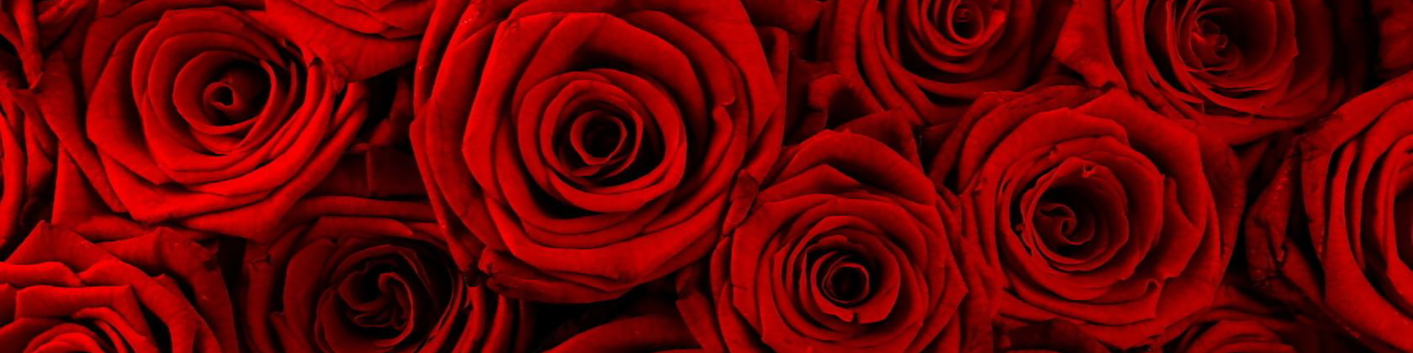 Charlie's Florist Hawick - Order Online or 01450 367351